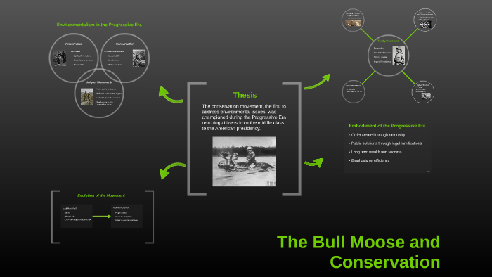 The Bull Moose and Conservation by Erin Marcum on Prezi