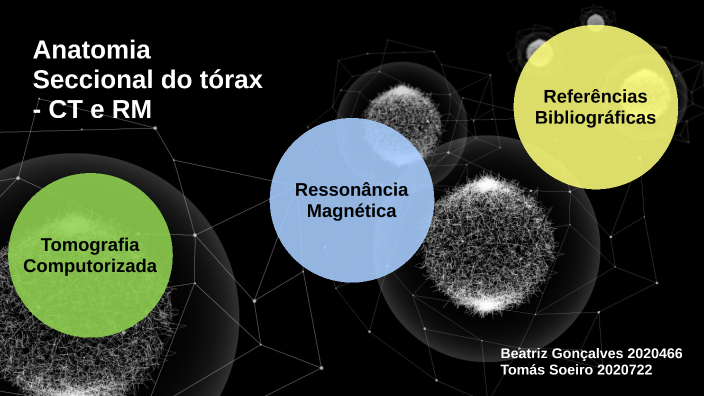 Anatomia Seccional Tórax - TC e RM by Beatriz Gonçalves on Prezi