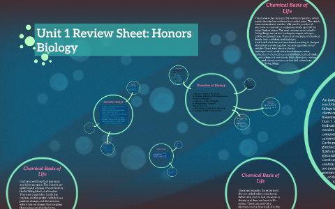 Unit 1 Review Sheet: Honors Biology by Kayla Gorrow on Prezi