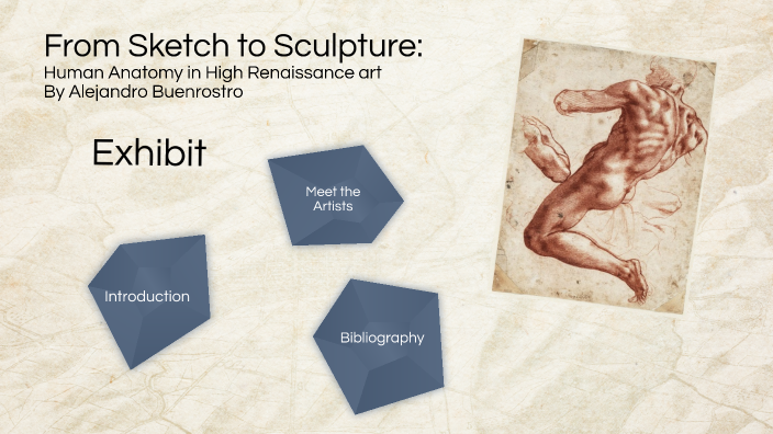 From Sketch to Sculptures: Human Anatomy in High Renaissance Art by ...