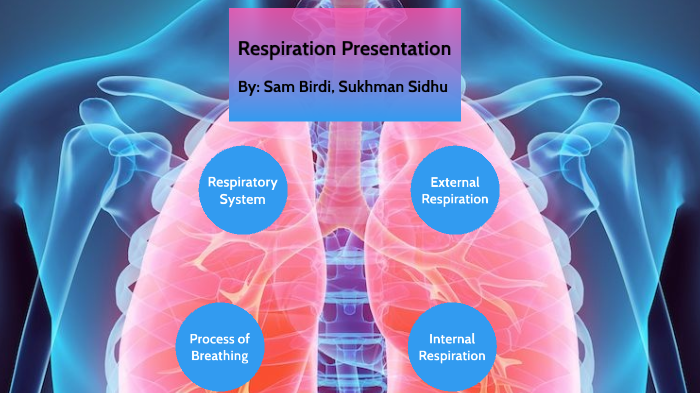 Respiration Mind Map Presentation by sam birdi on Prezi