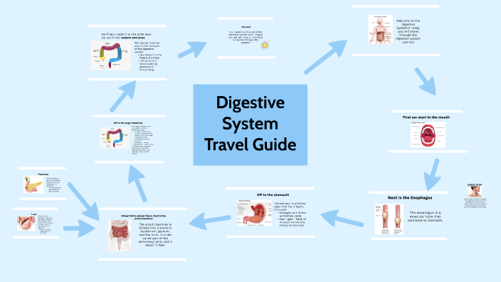 Digestive System Travel Guide by taylor rob on Prezi
