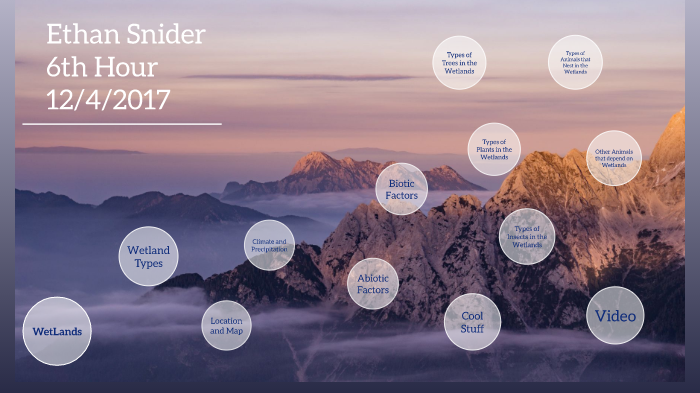 Wetlands by Ethan Snider on Prezi