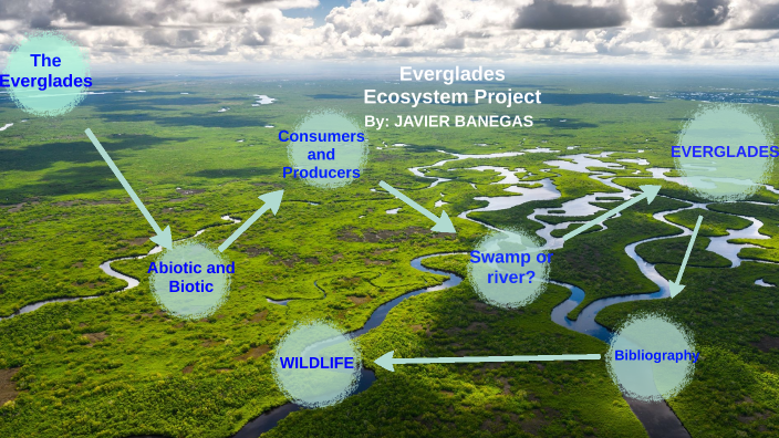 Javier's Everglades Ecosystem Project by River Oaks Elementary on Prezi