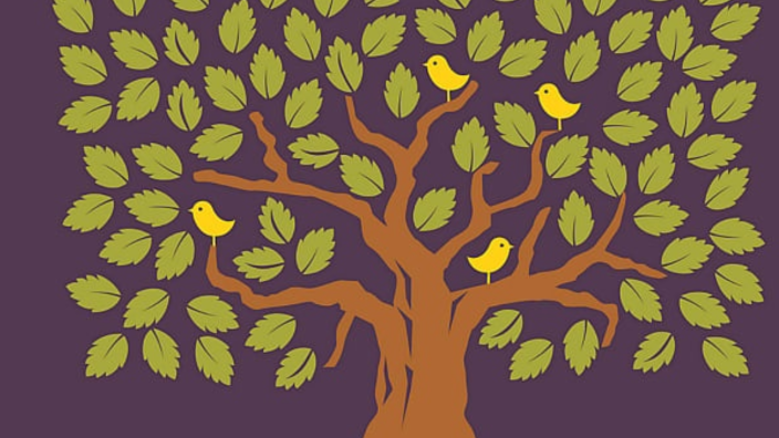 Carlos Salguero Family tree v2 by CARLOS HUMBERTO SALGUERO CHÁVEZ on Prezi