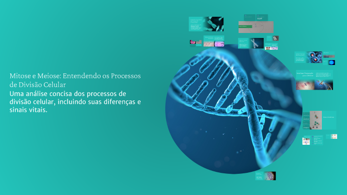 Mitose E Meiose Entendendo Os Processos De Divisão Celular By João