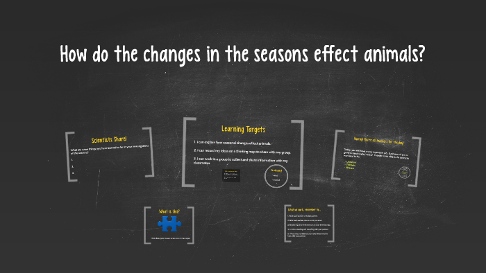 How do the changes in the seasons effect animals? by Kristy Harris