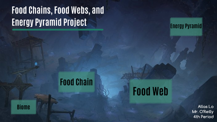 Food Chains, Food Webs, and Energy Pyramid Project by Naomi Lo