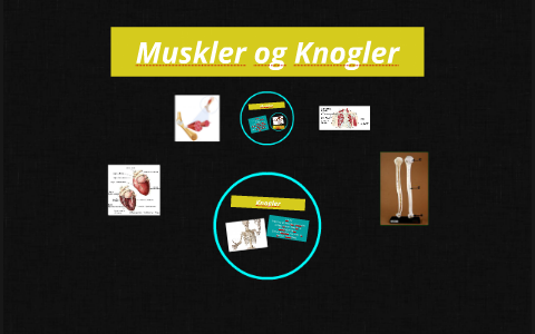 Muskler og Knogler by David Schubert Sund on Prezi