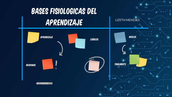 BASES FISIOLÓGICAS DEL APRENDIZAJE by Lizeth Meneses on Prezi