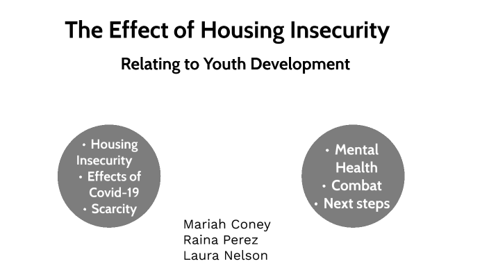 The Effect of Housing Insecurity on Youth Development by Mariah Coney ...