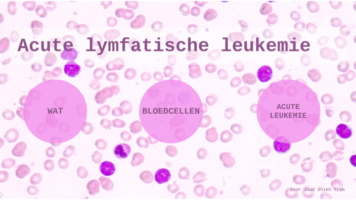 Acute leukemie by joud sheikhtrab on Prezi