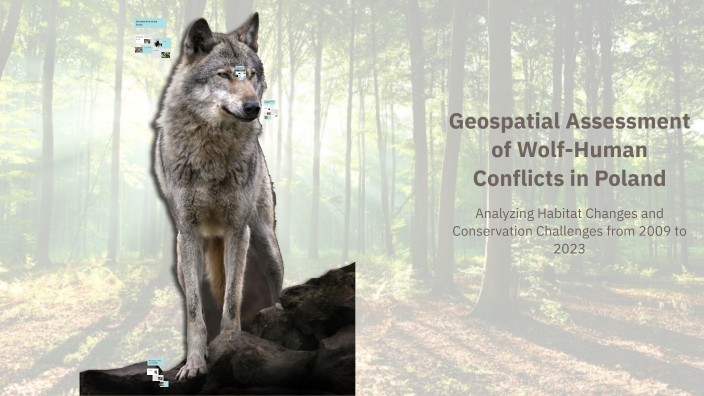 Geospatial Assessment of Wolf-Human Conflicts in Poland by Marta Luisa ...