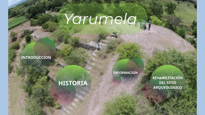 Yarumela by Shaday School Jonathan Gabriel Hernandez Argeñal on Prezi