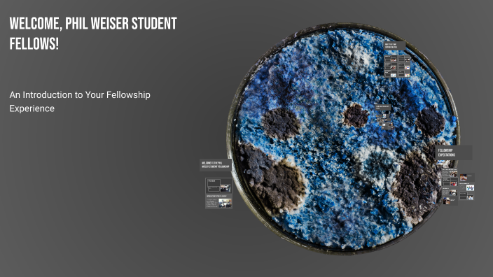 Welcome, Phil Weiser Student Fellows! by Theodore Weiss on Prezi