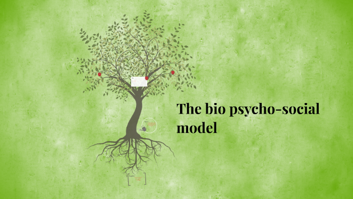Bio psycho-social model by Daniela Montes on Prezi