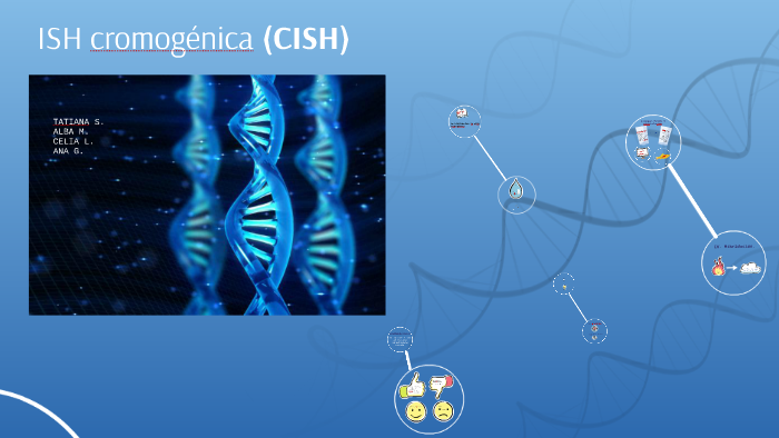 ISH cromogénica (CISH) by tatiana sanchez on Prezi