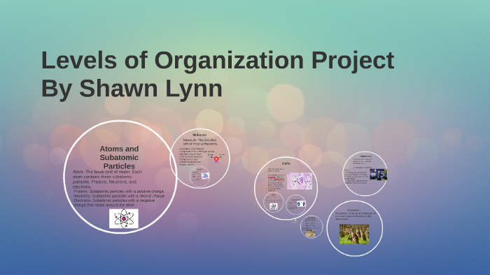 Levels of Organization Project by Shawn Lynn on Prezi