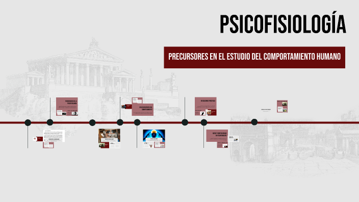 Psicofisiología by cintya paguay on Prezi