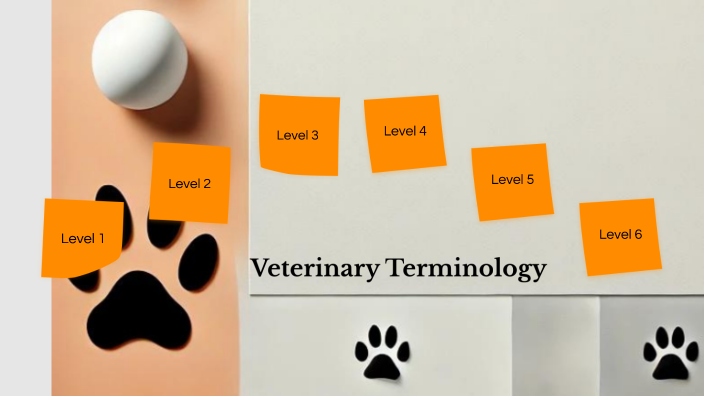Veterinary Terminology by Concierge Elite on Prezi
