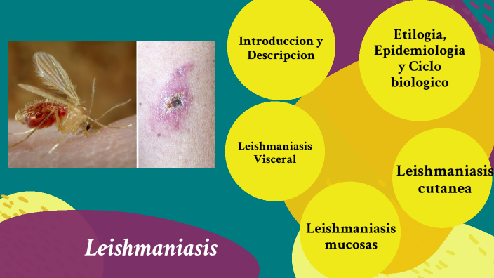 Leishmaniasis by Veronica Rivera Asturias on Prezi Next