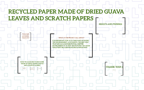 RECYCLED PAPER MADE OF DRIED GUAVA LEAVES AND SCRATCH PAPERS by ...
