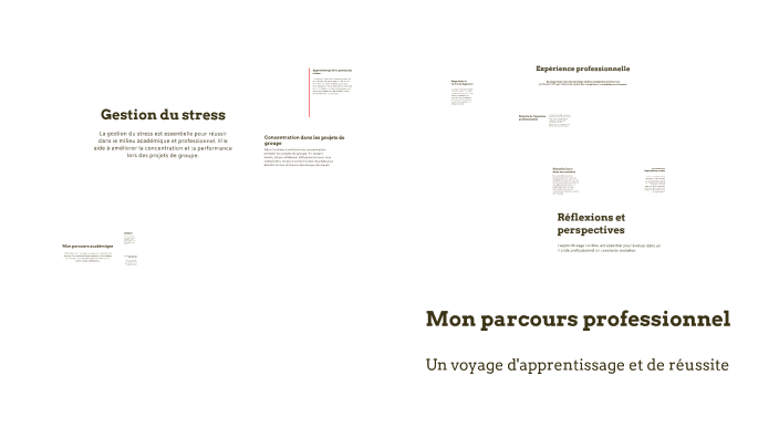 Mon parcours professionnel by FATNASSI Aziz on Prezi