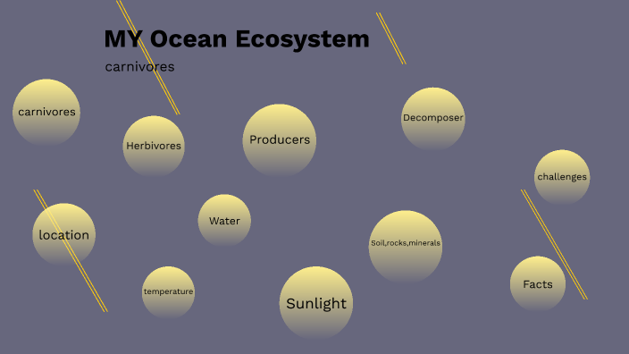 Ocean ecosystem presentation by HENRY SIMPSON on Prezi