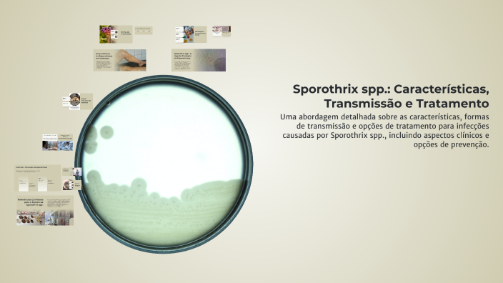 Sporothrix spp.: Características, Transmissão e Tratamento by Maisa ...