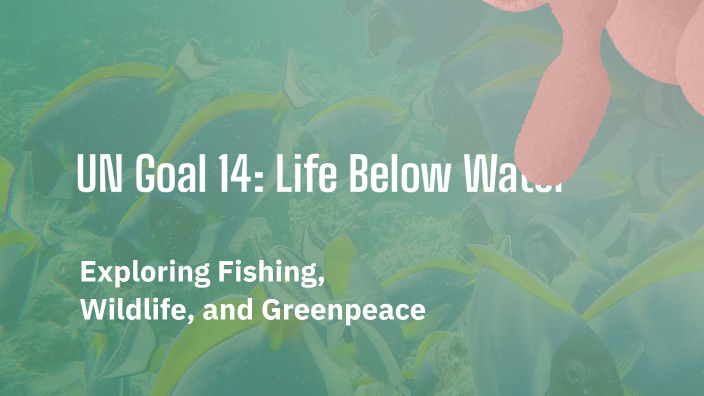 UN Goal 14: Life Below Water by callan owens on Prezi