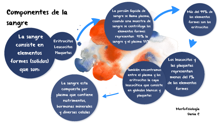 Componentes de la sangre by dania cordova on Prezi