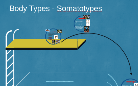 Body Types - Somatotypes by Laura Trudgian on Prezi