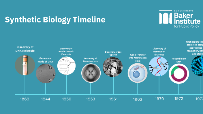 Synthetic Biology Timeline by Caroline Snider on Prezi