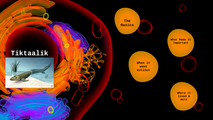 Tiktaalik Evolution by Logan Melander on Prezi