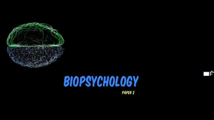 Biopsychology Year 2 lesson 2: hemispheric lateralisation, split brain ...
