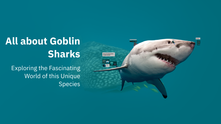All about Goblin Sharks by Bobby Davis on Prezi
