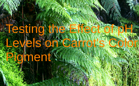 Testing the Effect of pH Levels on Carrot's Color Pigment by Stefan W ...