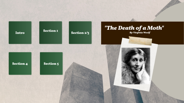 Death of a Moth Analysis by Newal Nasir on Prezi