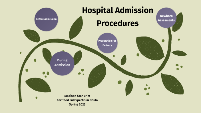 Hospital Intake Procedures by Madison Brim on Prezi