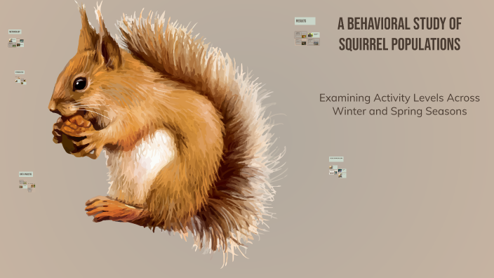 A Behavioral Study of Squirrel Populations by Yaw Frimpong Boakye on Prezi