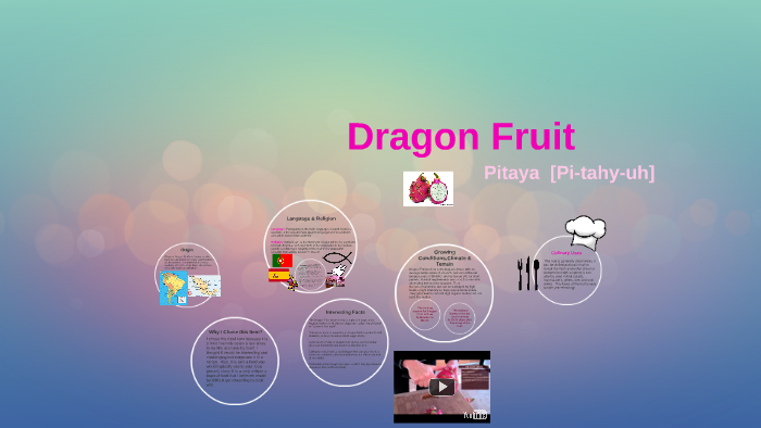 Dragon Fruit by nancy pierri on Prezi