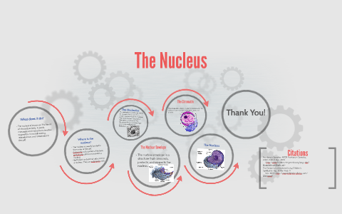 The Nucleus Presentation by Luke Bennett on Prezi