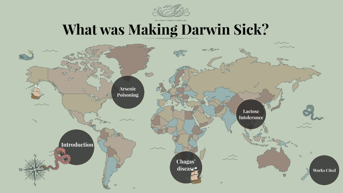 Communicating Darwin: Margot Riddle by Margot Riddle on Prezi