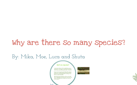 Why are there so many species? by Moe 1dstudent03 on Prezi