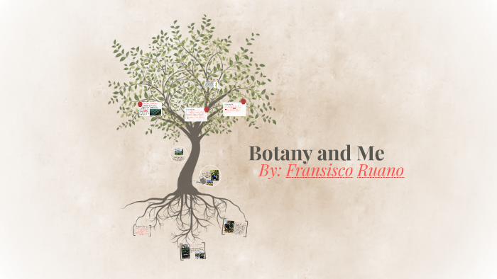 Botany and Me by Kat Dominguez on Prezi