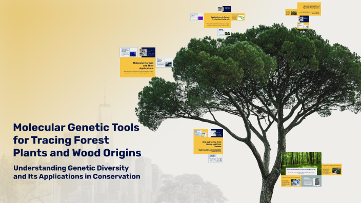 Molecular Genetic Tools for Tracing Forest Plants and Wood Origins by ...