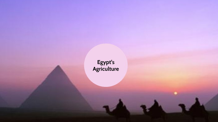 Egypt Agriculture Concept Map by Megan Tan on Prezi