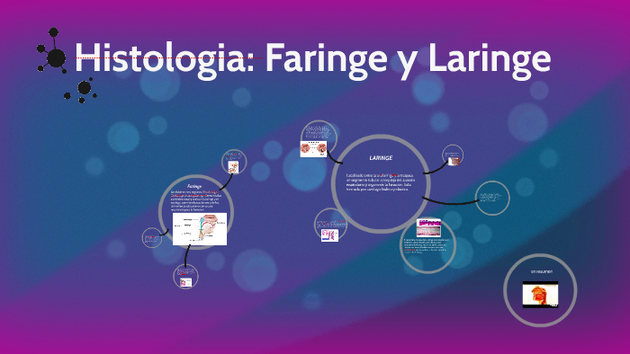 Histologia: Faringe y Laringe by nancy vela on Prezi