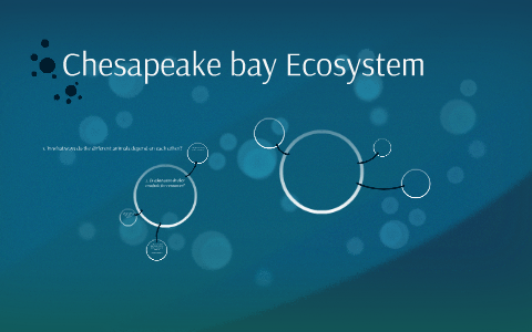 Chesapeake bay Ecosystems by Kalob Anderson on Prezi