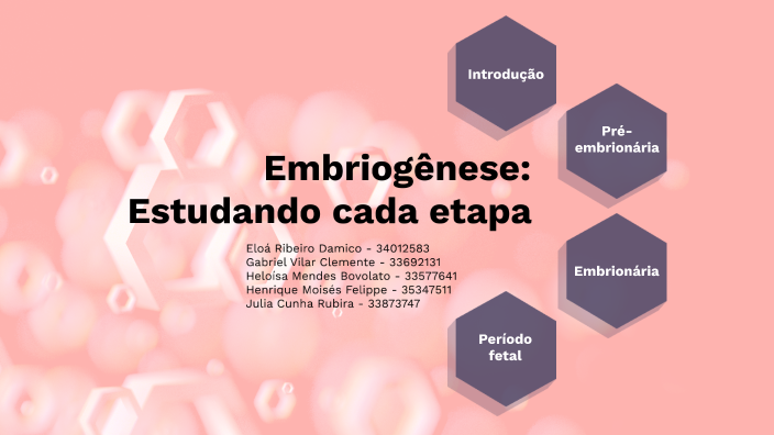 Biologia Celular - Embriogênese by Julia Cunha Rubira on Prezi